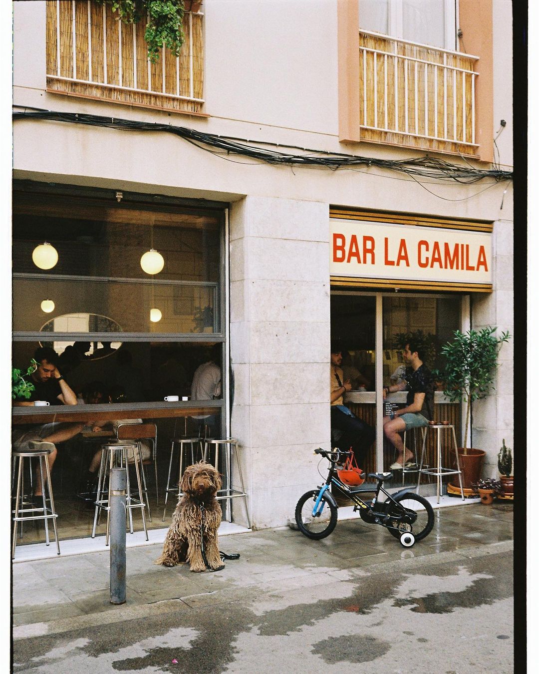 Bar of the Month: Bar La Camila | Secret Trips