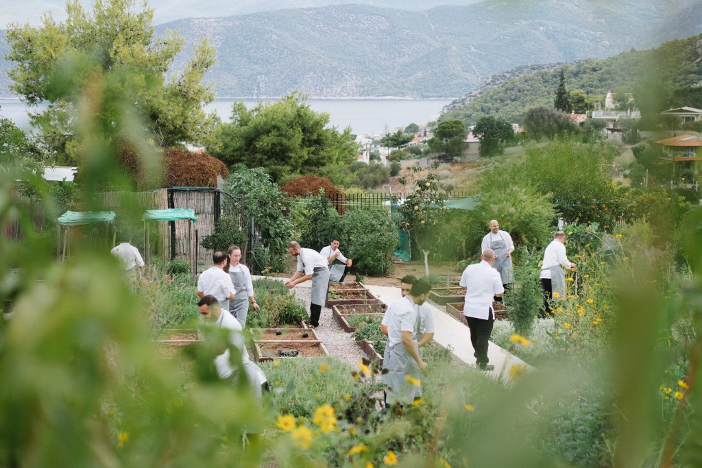 Nikos Roussos on where to eat in Athens | Secret Trips